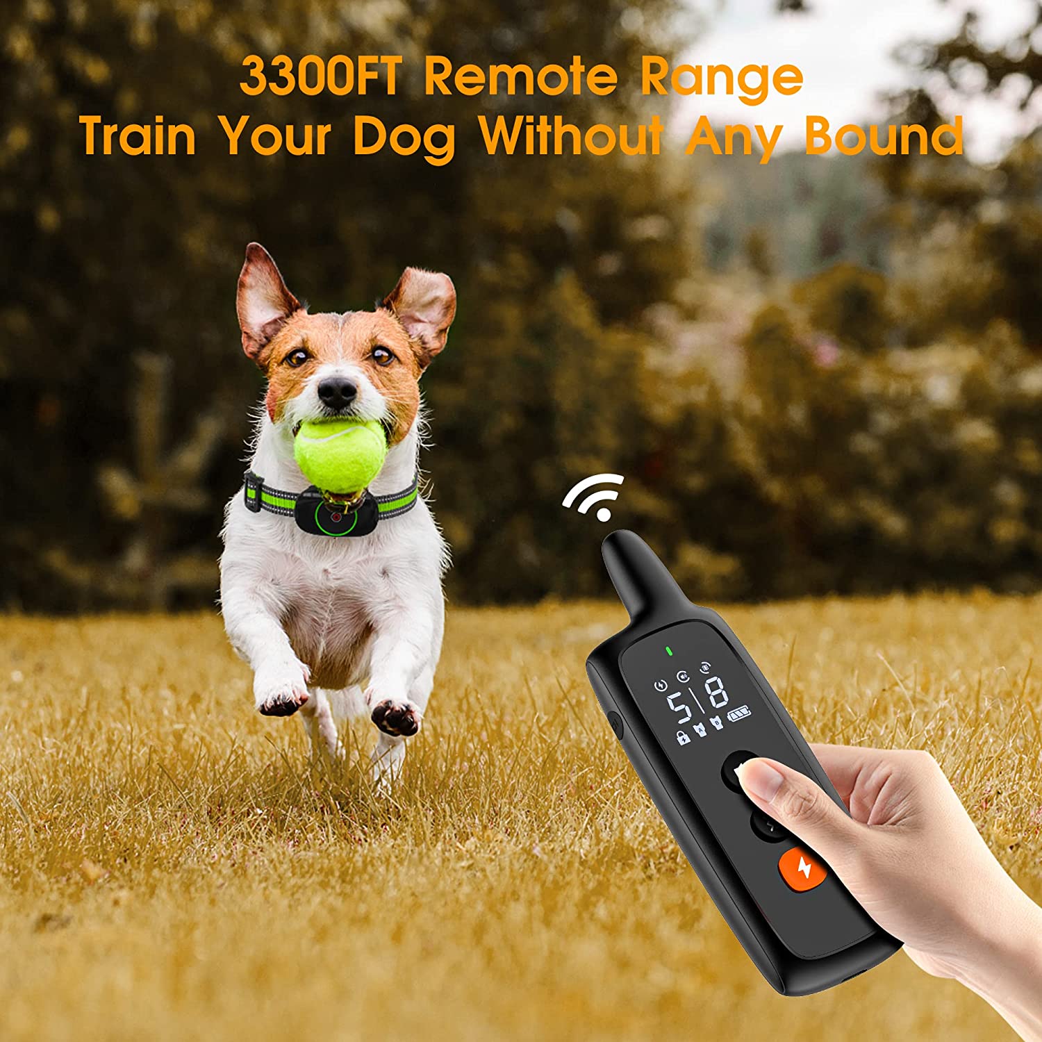 Dog Shock Collar for 2 Dogs - ParaTech